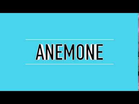How To Pronounce Anemone