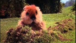 Chapter 1 - Gopher It - Fimfiction