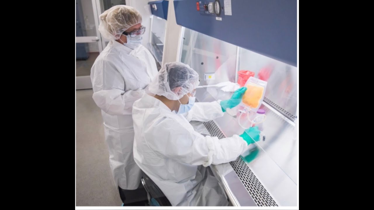 Clinical Trial for Knee Arthritis- IOF Presentation by Dr Rogers