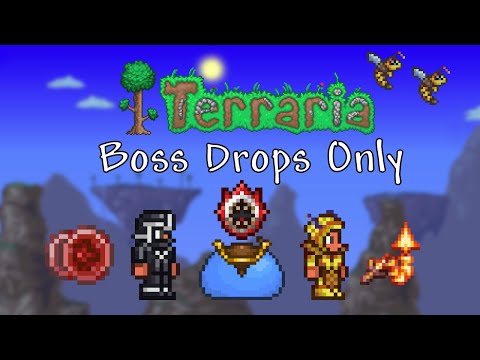 Steam Community :: Video :: Can I Complete Terraria Using Boss Drops ...