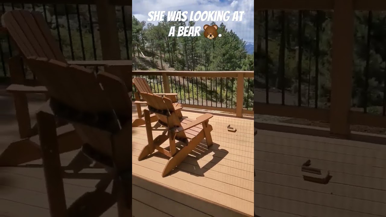 She was warning my co worker about the bear #shortsfeed #movers #bear #fyp