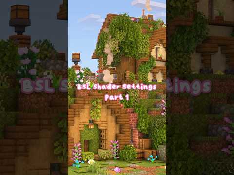 BSL Shader Settings Part 1 🐝