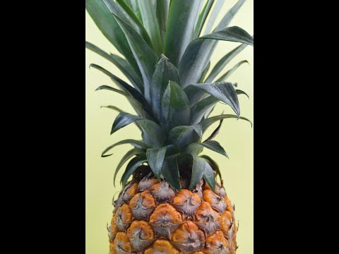 Home Made Pineapple Bromelain Drink
