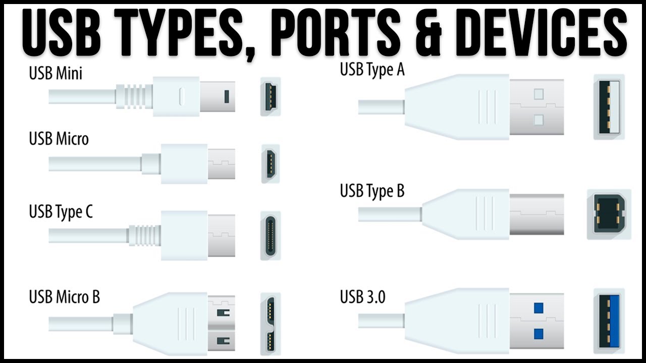 USB Types, Ports, and Devices Explained: A Beginner's Guide
