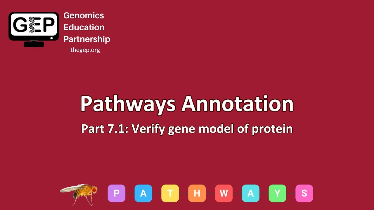 GEP | Pathways Gene Annotation Part 7.1 - Verify gene model of protein