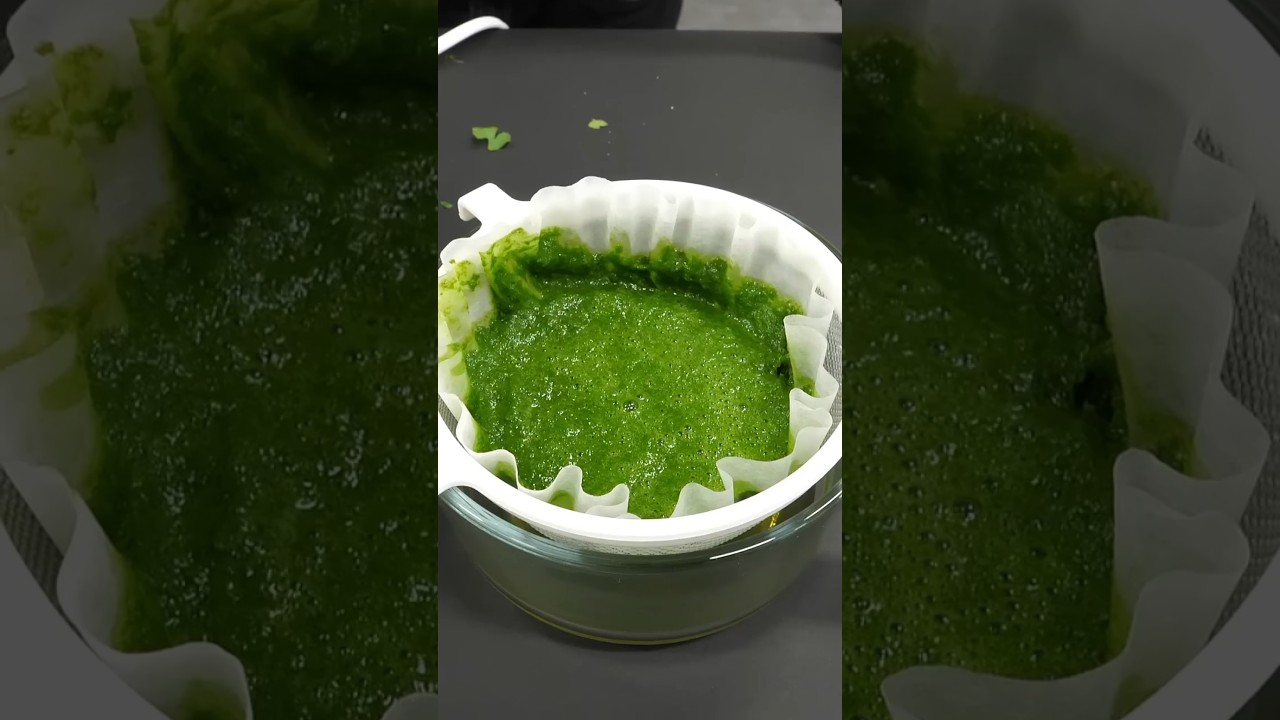 Exploring the Fascinating Concept of Plant Blood | Galaxy.ai