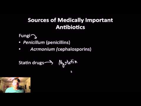Microbiology! a General overiveiw of antibiotics