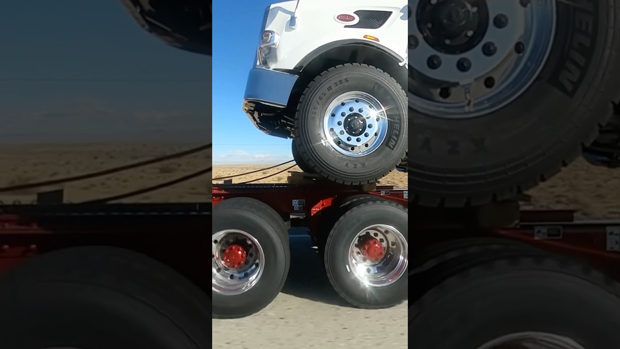 New Trucks#shortsvideo #truckdrivers #trucking #truck #trucker #peterbilt