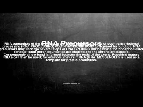 Medical vocabulary: What does RNA Precursors mean