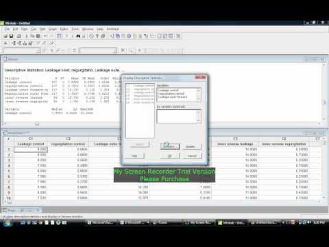 Mean and standard deviation using minitab