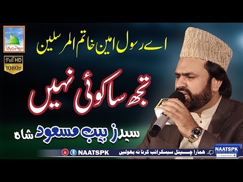 Ay Rasool e Ameen ﷺ - Syed Zabeeb Masood