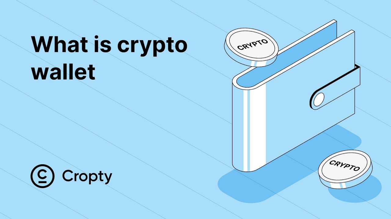 What Is a Crypto Wallet — Full Guide for Beginners