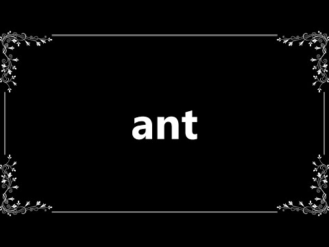 Ant - Definition and How To Pronounce