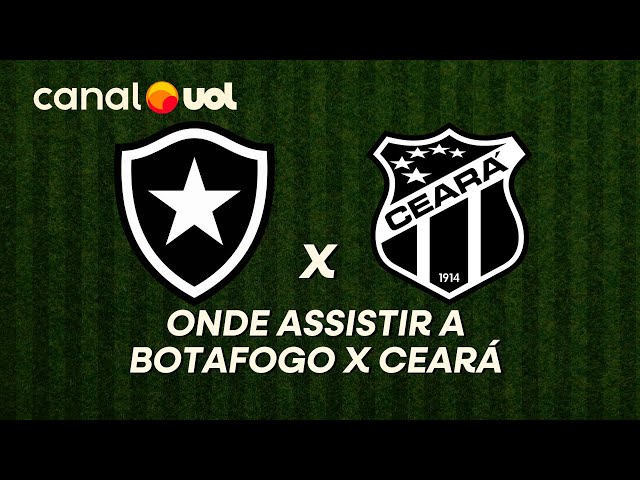 Jogo do Botafogo hoje (4): horário e onde assistir ao vivo