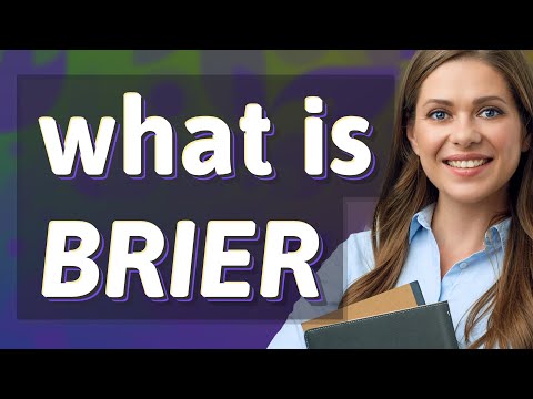 Brier | meaning of Brier