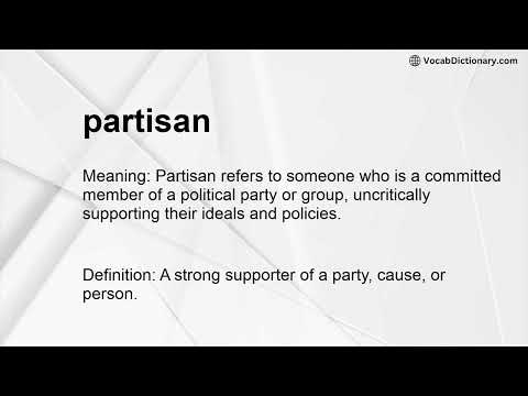 partisan Meaning