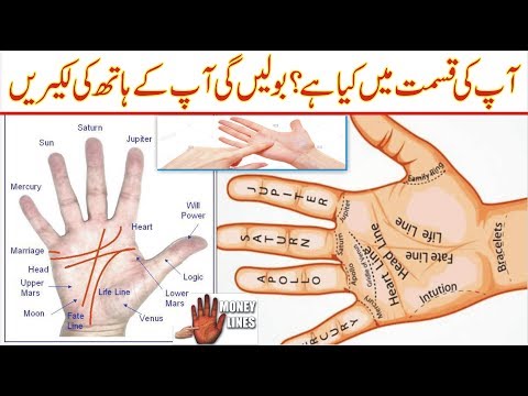 Palmistry In Urdu | ہاتھ پر دولت کی لکیر| Palmistry Reading | Hand reading | Hath ki lakeren in urdu