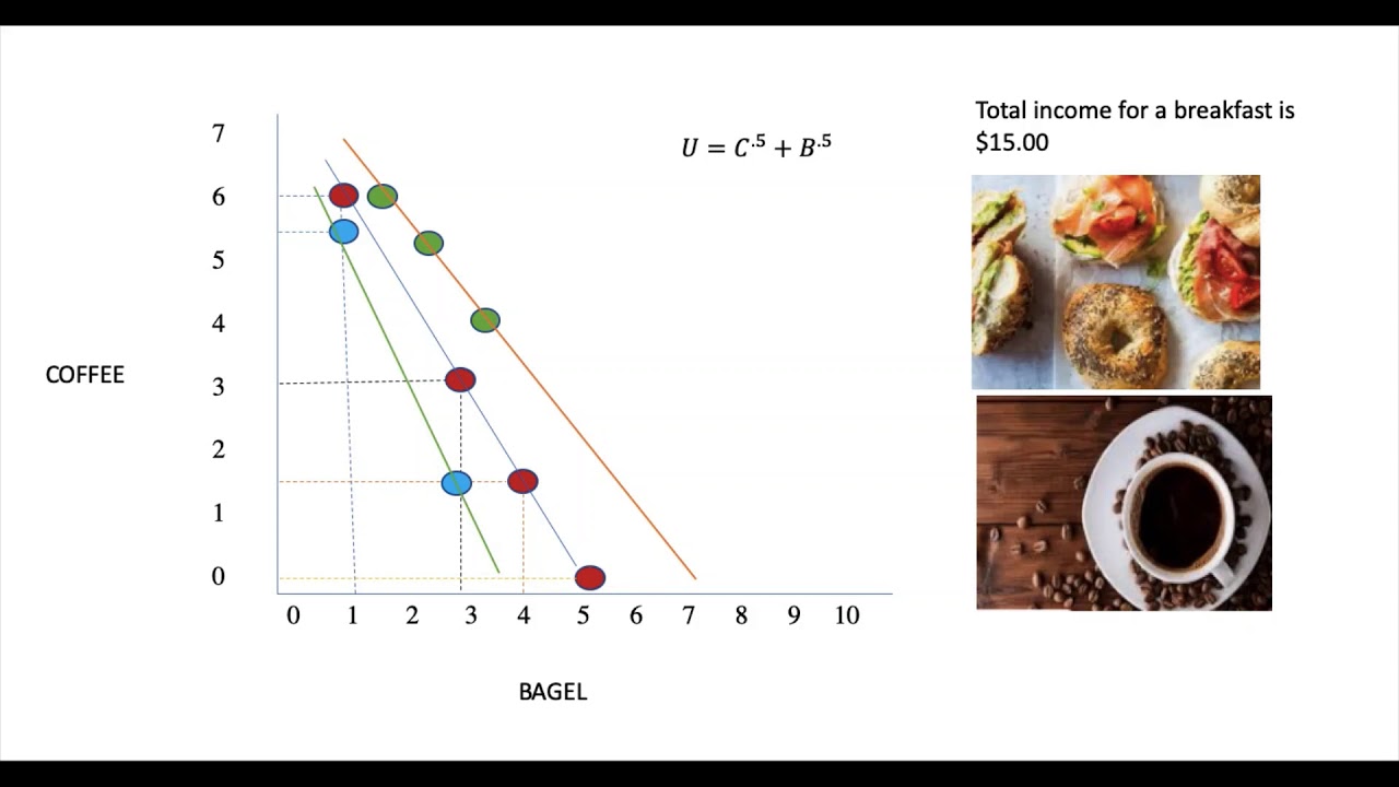 Econ 301 Video Assignment 2