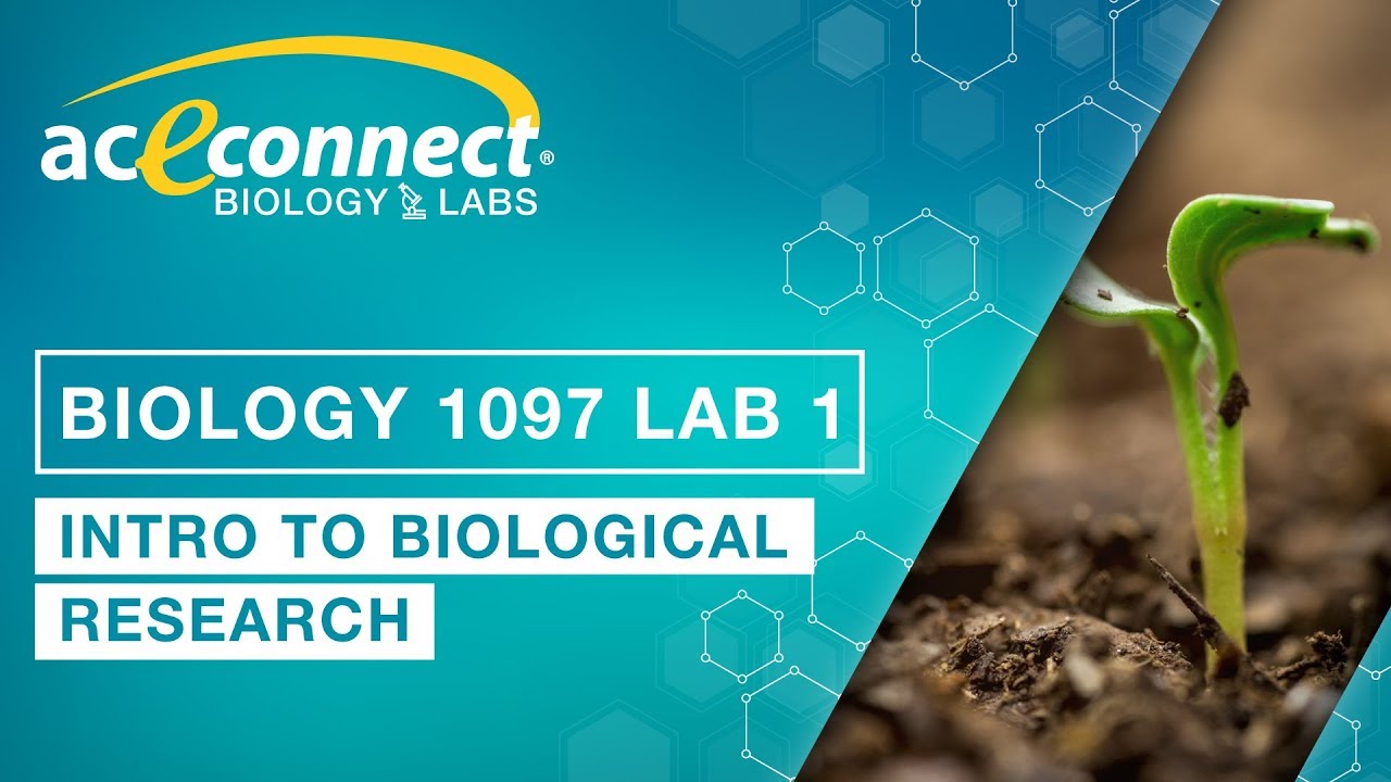 Biology 1097 Lab 1 || Intro to Biological Research