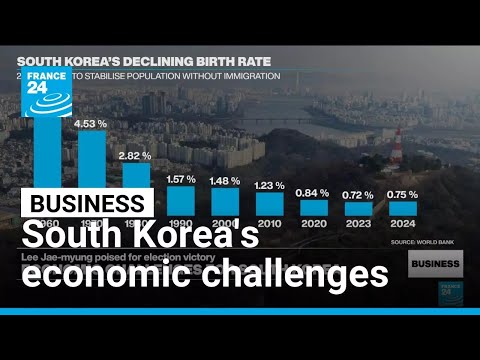 Economic challenges await newly elected South Korean President Lee Jae-myung • FRANCE 24 English