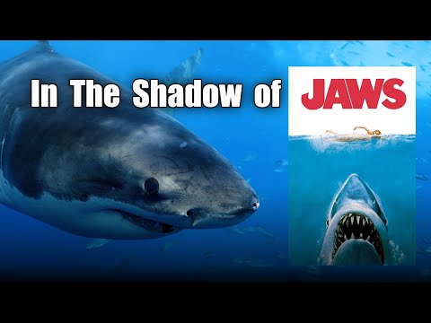 In The Shadow of JAWS: A New Perspective of Sharks