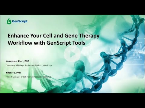 Enhance Your Cell and Gene Therapy Workflow with GenScript Tools