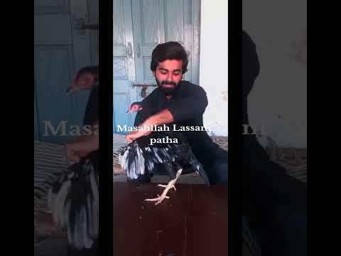 king Lassani #malik #mianwali #love