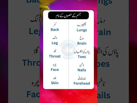 Body Parts 2, Most Important English Words with Urdu Meaning