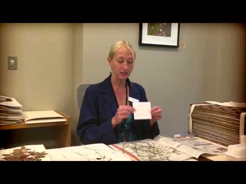 What is a herbarium specimen?