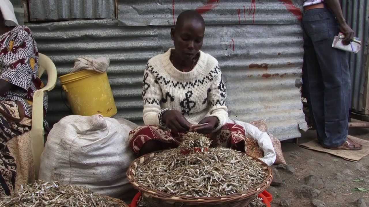 Module 3 - GOOD PRACTICE FOR FISH PROCESSORS