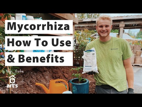 Myke Pro Mycorrhiza: How To Use & Benefits