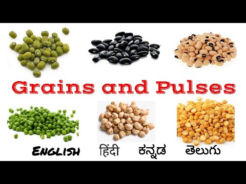 Grains and Pulses names in English, Hindi, Kannada, Telugu | Grains name | Pulses name | Millets