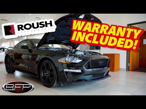 SUPERCHARGED MUSTANG with a WARRANTY!!! | Beechmont Ford Performance