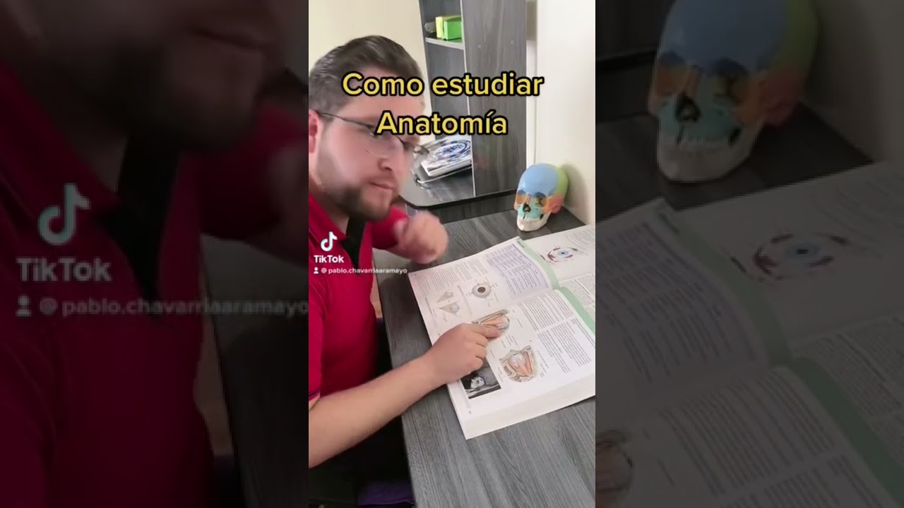 Como estudiar Anatomía