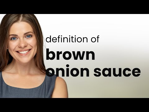 Brown onion sauce | definition of BROWN ONION SAUCE