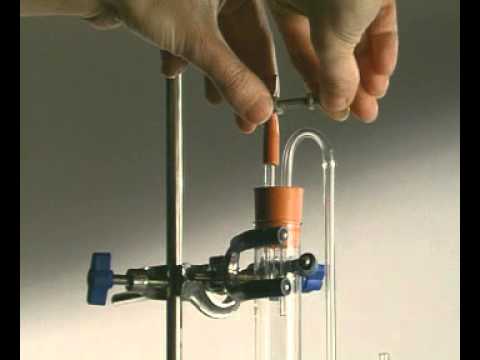 How pH affects enzyme activity