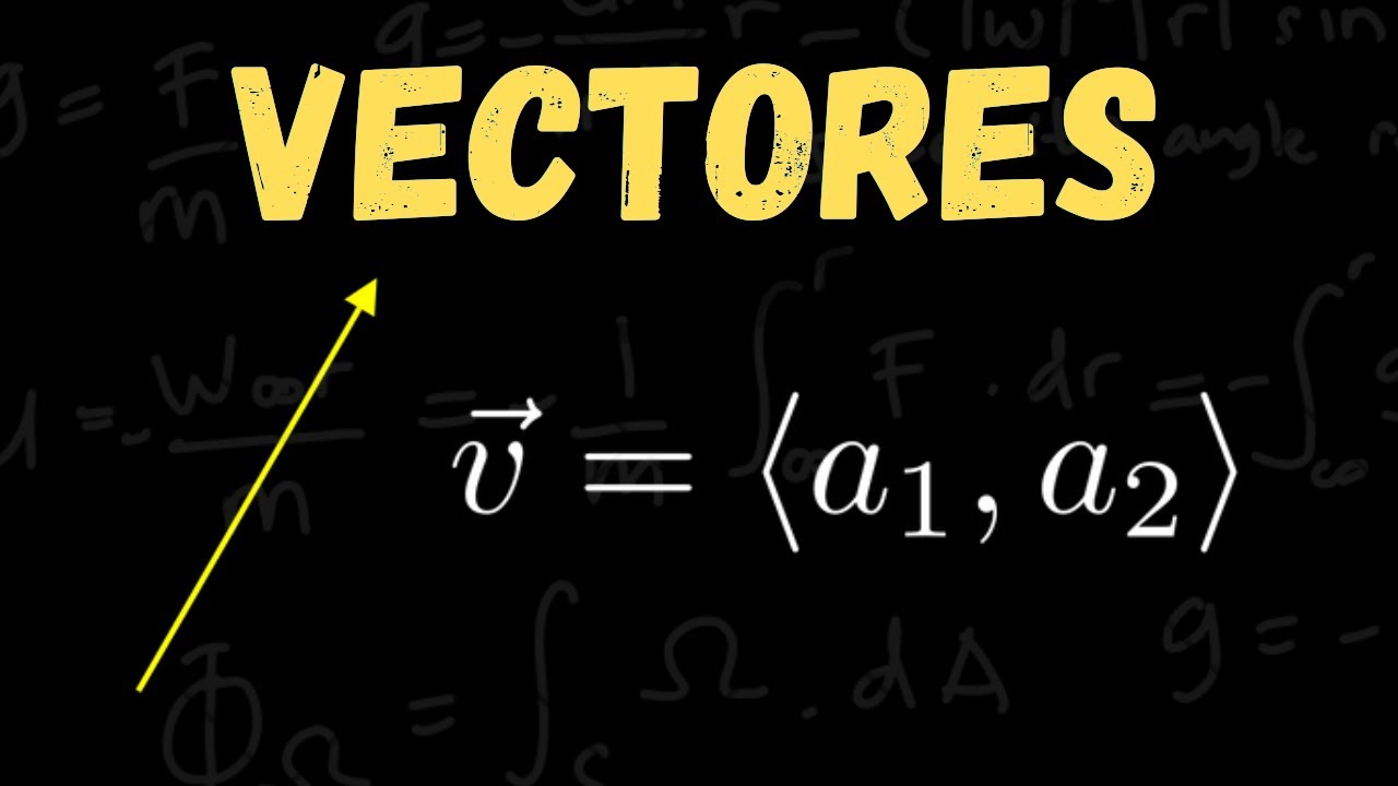 ¿QUÉ es un VECTOR y PARA que SIRVEN?