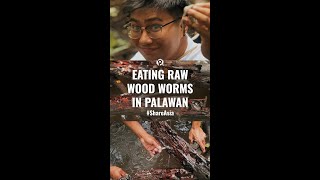 WATCH: Eating raw woodworms in Palawan