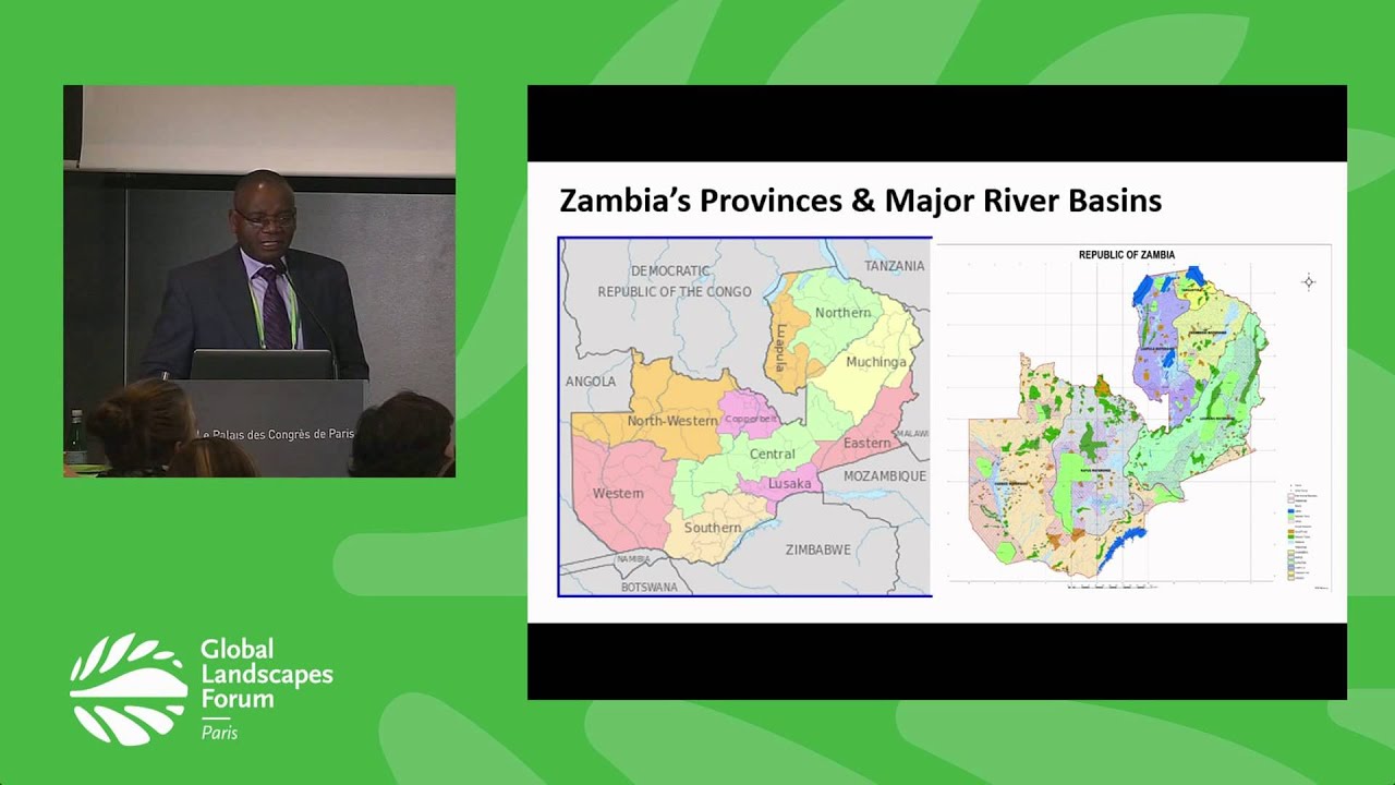 REDD+ Forest Reference Emission Levels GLF 2015