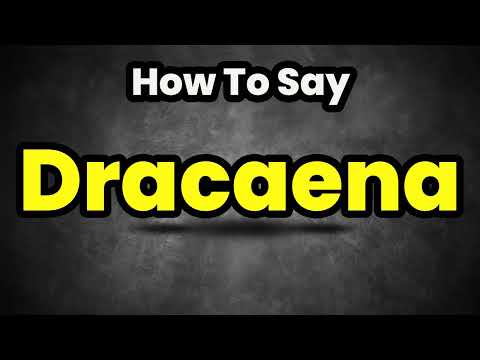 How To Pronounce Dracaena? (CORRECTLY) Meaning & Pronunciation