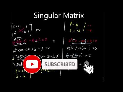 Singular Matrix 2 by 2