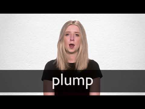 'PLUMP' 的 简体中文 Translation | 柯林斯 英语 - 汉语词典
