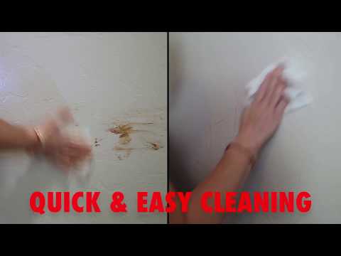 EGGSHELL PAINT