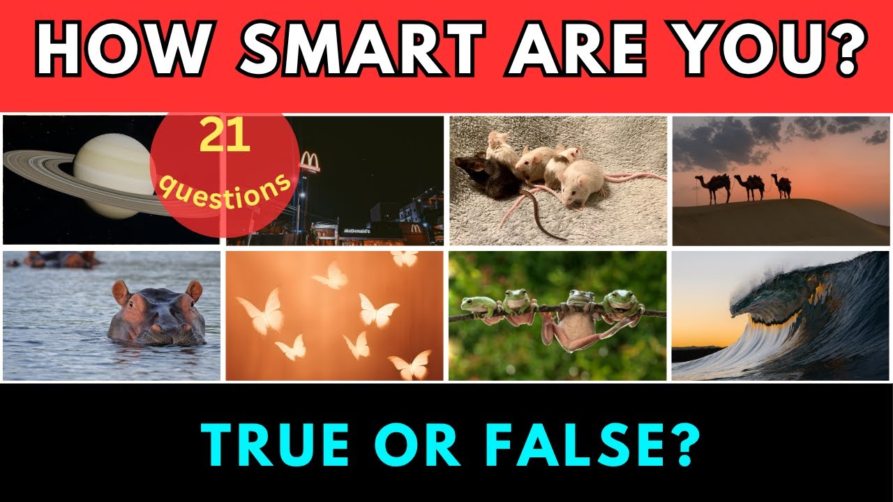21 True or False Facts You Won’t Believe! | Fun Quiz Challenge