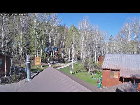 Live Leaf Cam - Desolation Hotel Hope Valley