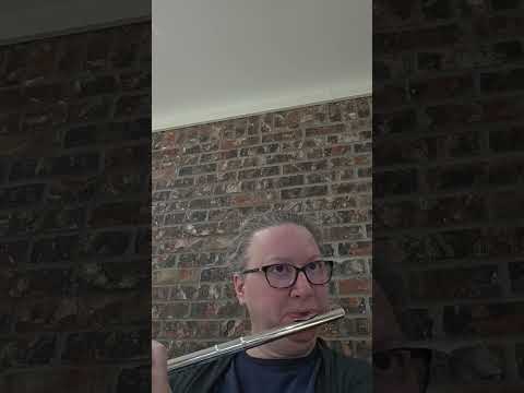 Matija L-Series Sterling Silver Flute - C# Trill - B Foot - | Reverb