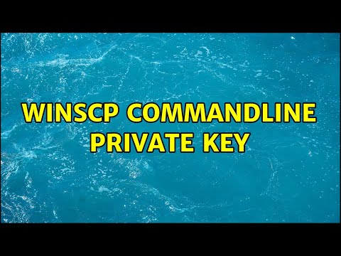 WinSCP Commandline Private key