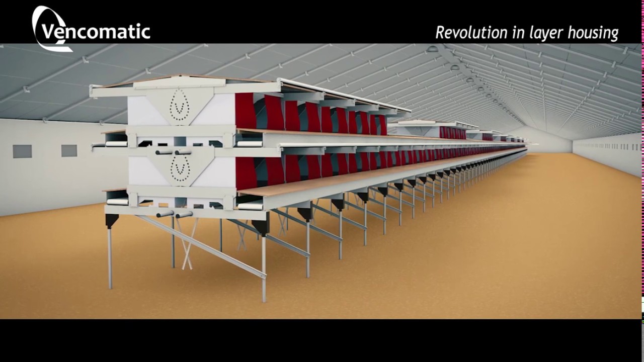 Vencomatic Group:  Revolution in layer housing