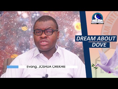 DREAM ABOUT (WHITE) DOVE - Find Out The Biblical And Spiritual Meaning