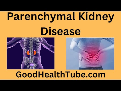 Parenchymal Kidney Disease - Do You Have It - Good Health Tube